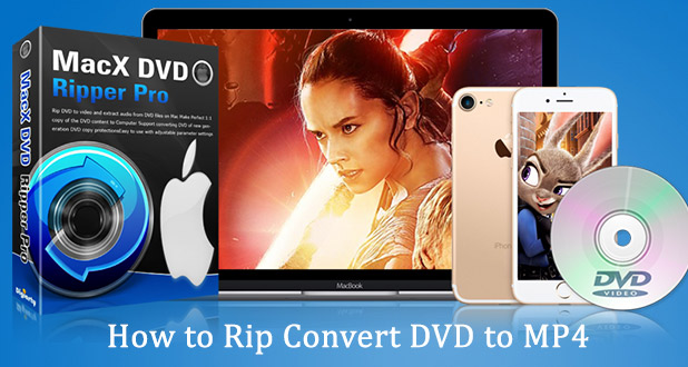 Rip Movies with WonderFox DVD Ripper Pro
